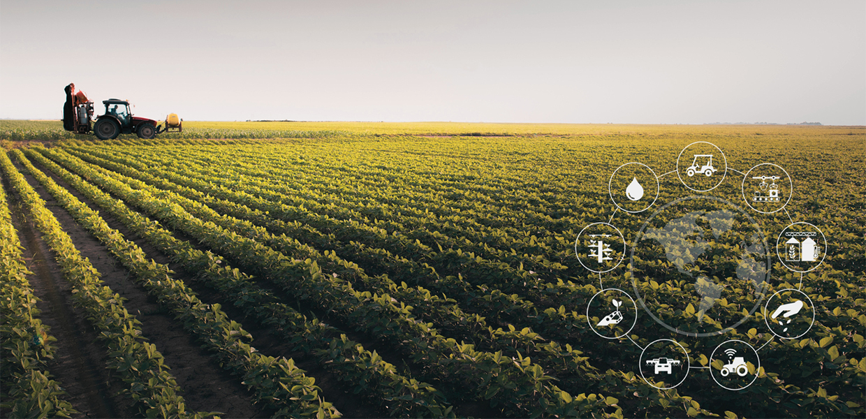 Trends in 2024 continue to connect the agriculture and the food industry