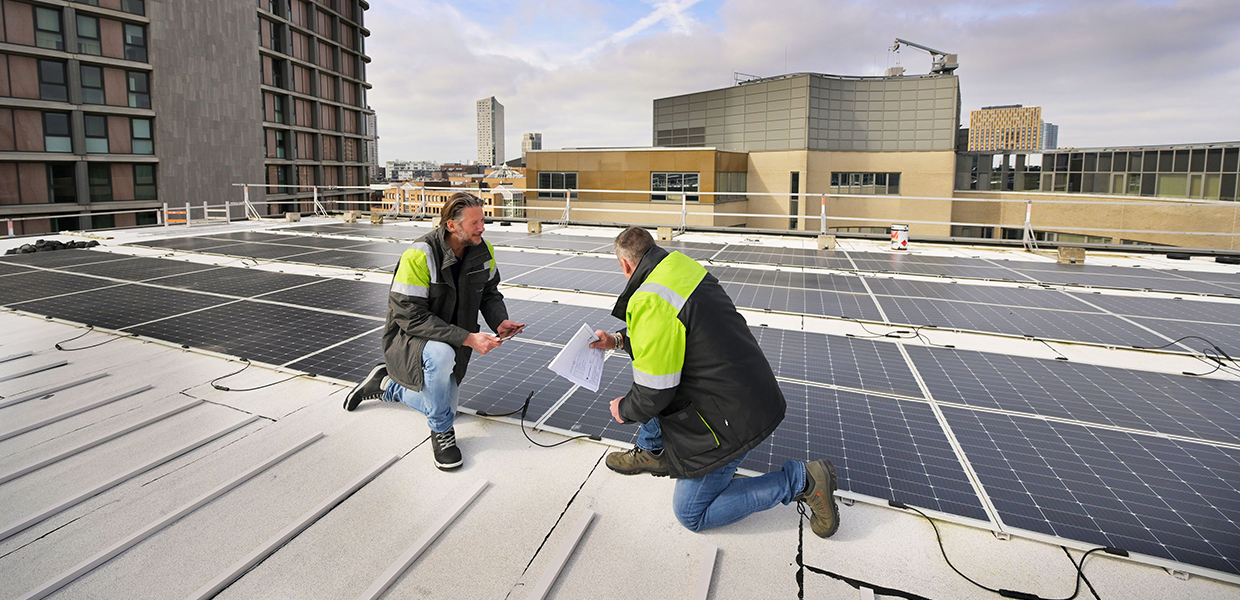 DLL Records Profit, Portfolio and Income Growth in 2023